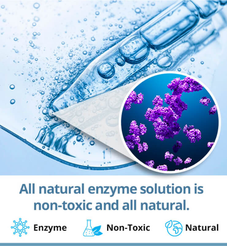 Splash Spotless – Splash Store